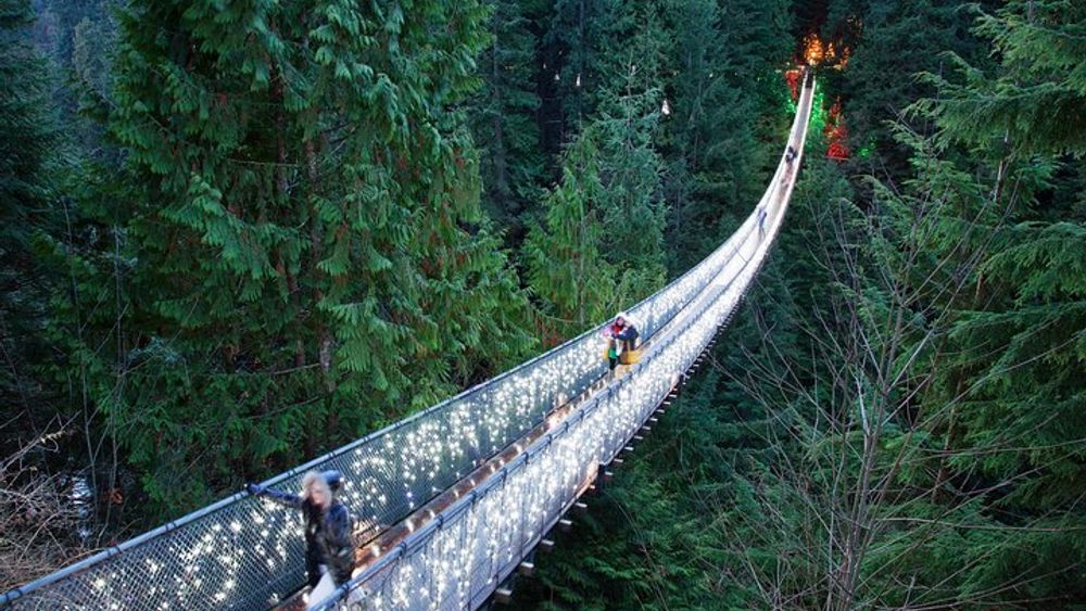 Vancouver City, Capilano Suspension Bridge Canyon Lights Tour | Canada ...
