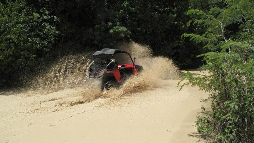 Jungle Buggy And Snorkeling Tour From Playa Del Carmen | Mexico ...