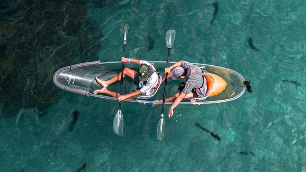 Clearyak Hire At Goat Island Marine Reserve | New Zealand | Gifting Owl
